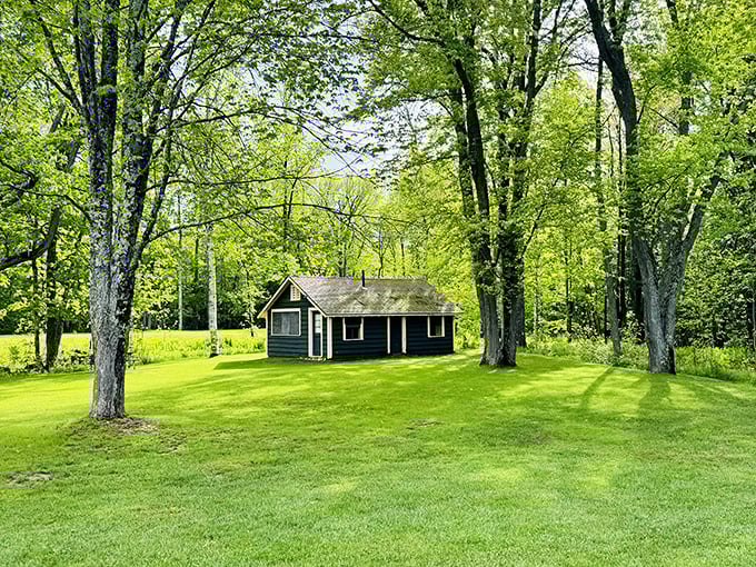 Rustic charm in a verdant setting. This cabin embodies the quintessential Up North experience that complements Kitch-iti-kipi's natural beauty.