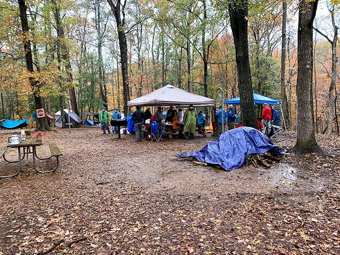 Camping among autumn leaves&mdash;where "roughing it" means disconnecting from Wi-Fi but connecting with something infinitely more valuable.