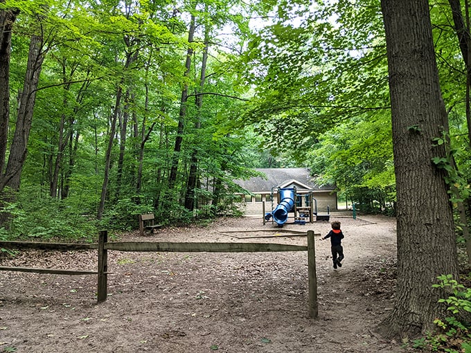 Where forest meets playground &ndash; because even in nature's paradise, sometimes the kids just need to climb on something that isn't a tree.