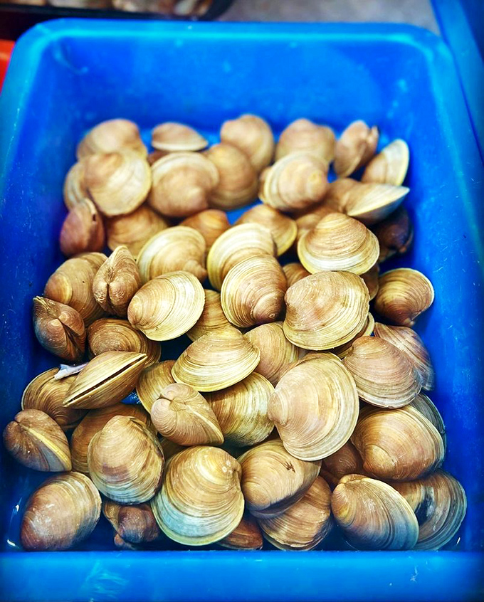 These clams aren't just waiting to be cooked; they're plotting to become someone's most memorable bite of the day.
