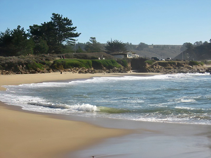 Not all beaches come with dramatic cliff backdrops. Bean Hollow's coastal bluffs stand like ancient guardians, watching over generations of beachcombers and daydreamers.