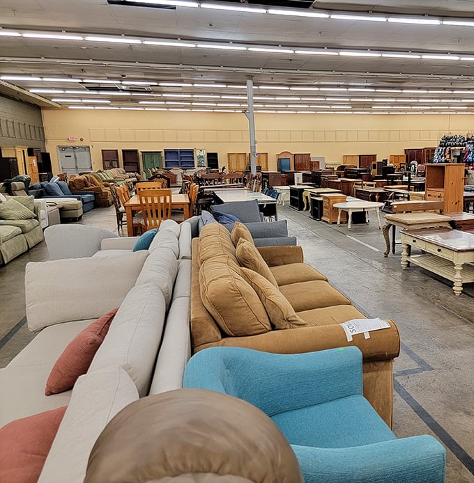 The sofa section resembles a living room family reunion, with cousins of every color and style mingling comfortably together.