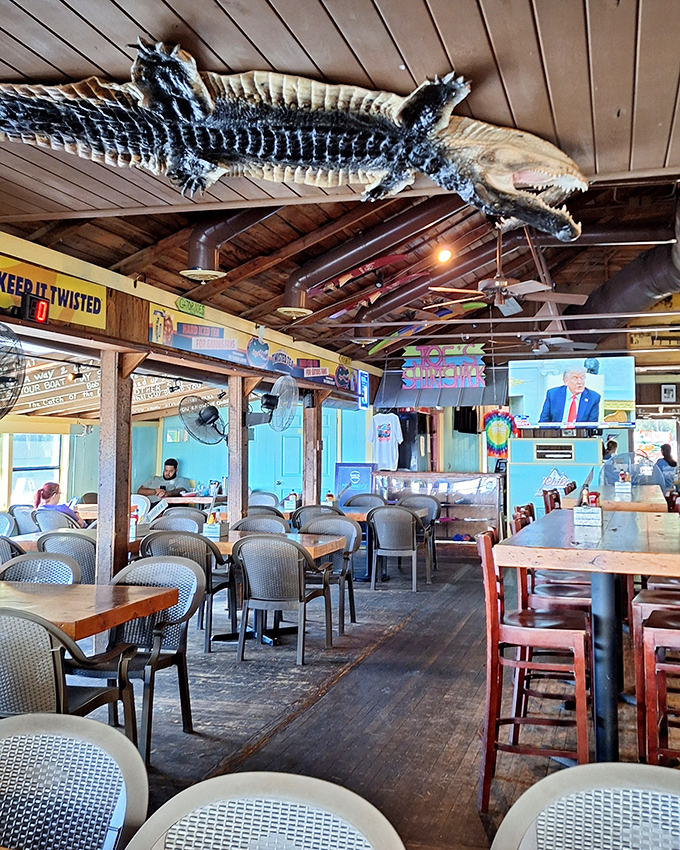 Florida dining in its natural habitat. The mounted alligator watches over diners, a silent reminder of the restaurant's namesake and local legend.