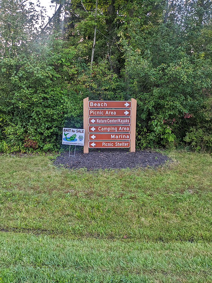 Nature's GPS system &ndash; follow these arrows to find everything from beach bliss to marshmallow-roasting perfection.