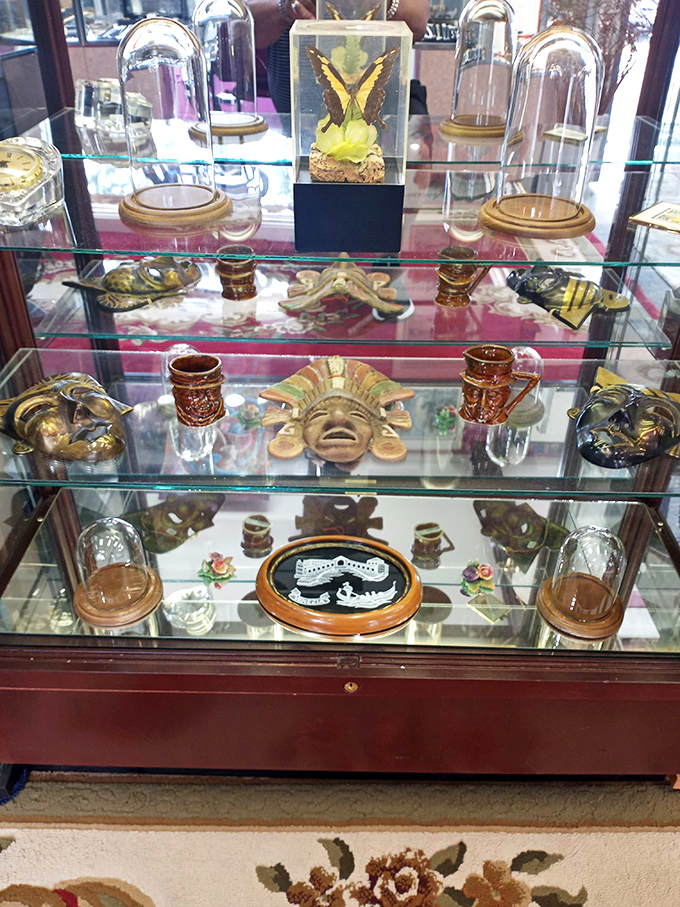 Behind glass, these curiosities wait like exotic ingredients in a chef's special collection. Look, but don't taste!