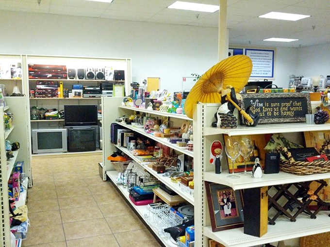 Eclectic displays showcase everything from yellow umbrellas to mysterious treasures waiting for discovery.