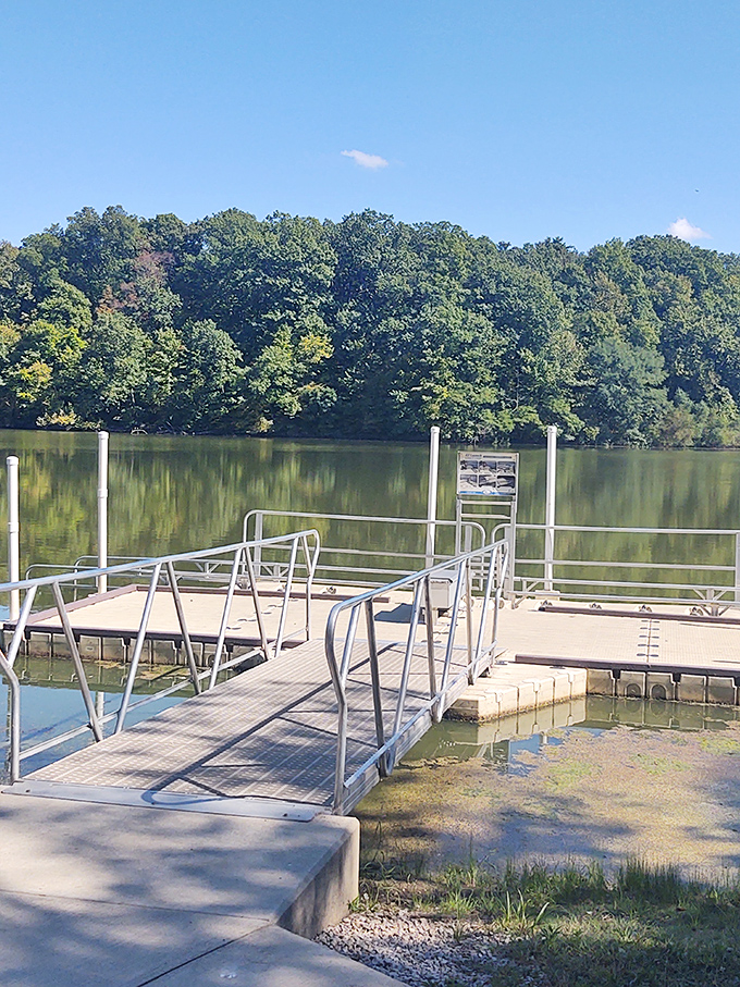Lakeside launching pad. This dock isn't just a structure – it's the starting point for countless summer memories.