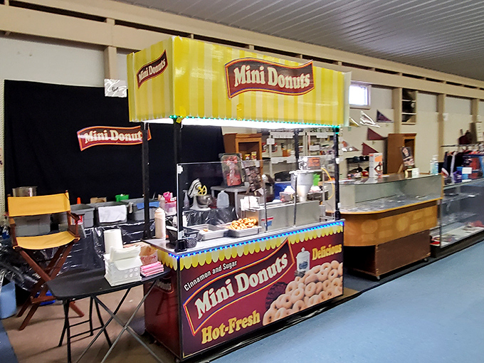 Fresh mini donuts beckon with their golden perfection, making treasure hunting even more deliciously rewarding.