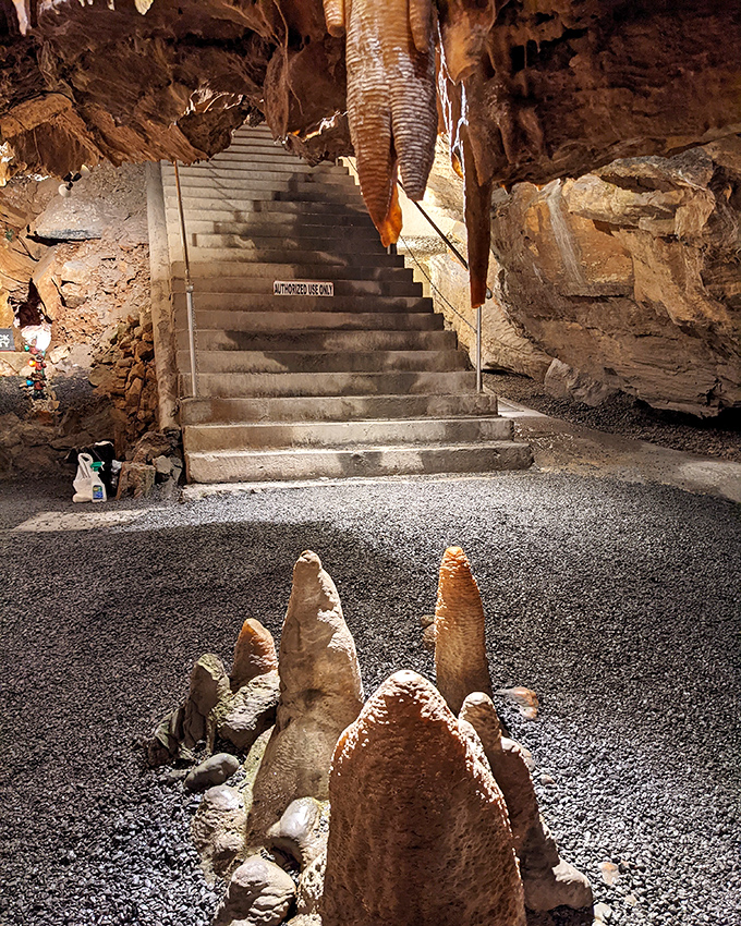 Stairway to... the surface world? After the underground splendor, daylight almost feels like a downgrade.