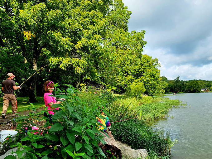 Family fishing moments create memories that last generations. That look of concentration says everything about the timeless appeal of casting a line.