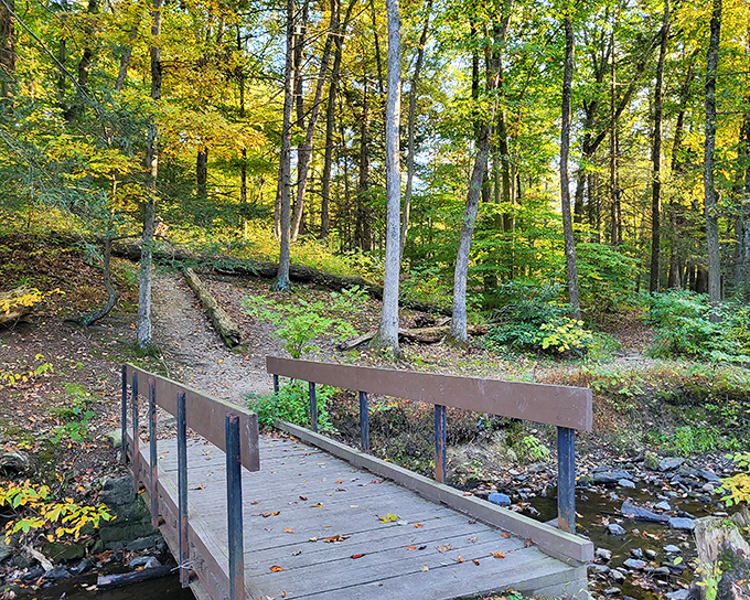 Every good trail needs a good bridge. This simple wooden crossing transforms a creek obstacle into a moment of woodland poetry.