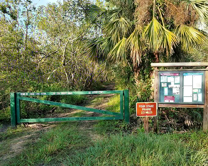 The gateway to wilderness doesn't need neon lights or a cover charge. Just a simple green gate saying, "Your adventure begins here."