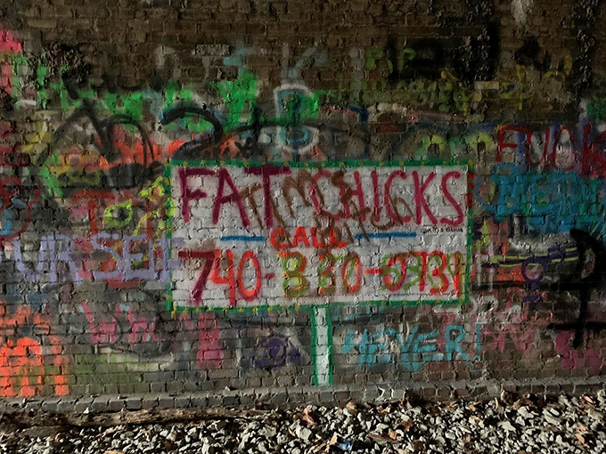 The tunnel's interior walls serve as an ever-changing canvas of expression, each layer of graffiti adding to Moonville's complex story.