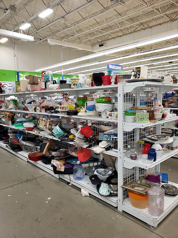 Kitchen gadget graveyard or culinary treasure trove? One shopper's abandoned bread machine is another's path to homemade sourdough glory.
