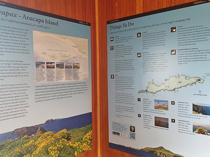 This information board offers the island's greatest hits&mdash;think of it as Anacapa's personal LinkedIn profile.