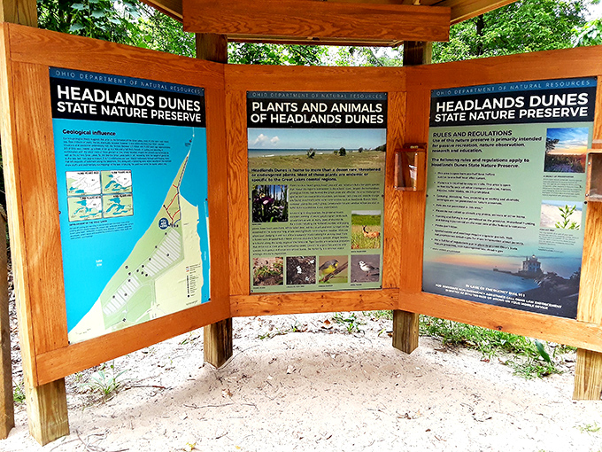 Information boards reveal the park's natural secrets. Knowledge: the only souvenir that doesn't require extra luggage space.