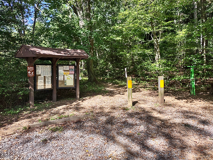 The park's information kiosk stands like a friendly forest concierge, ready to guide your adventure without expecting a tip or judging your hiking attire.