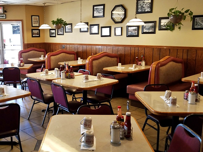 Every great diner needs booths that have witnessed thousands of conversations, coffee refills, and the occasional "I shouldn't, but yes, I'll have pie."