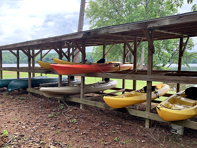 Kayaks waiting patiently for their next adventure, like colorful steeds ready to carry you across water instead of land. Yellow one's calling dibs on you.