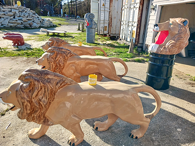 The lion pride of Grahamland parades in formation. These kings of the concrete jungle seem to be plotting something magnificent.