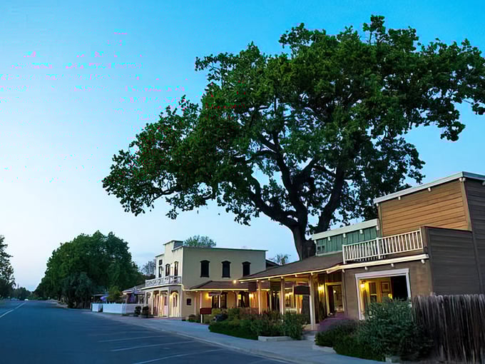 As twilight descends on Los Olivos, the magic only intensifies. Those oak trees have witnessed generations of wine country stories.