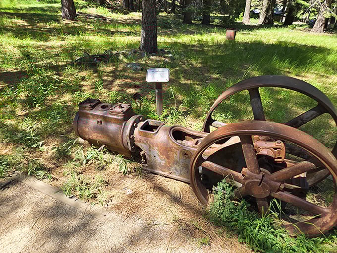 Industrial chic before it was fashionable. This rusted mining equipment tells stories of California's golden dreams better than any history book.