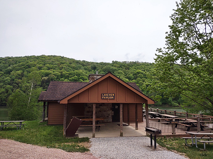 The Lakeview Pavilion&mdash;where "rustic charm" isn't just a Pinterest board but an actual place you can touch and experience.
