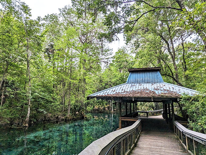 This covered walkway isn't just practical &ndash; it's the perfect frame for that "I found paradise and it's in Florida" moment. 