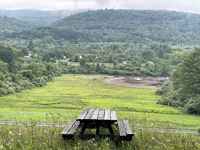 Million-dollar view, picnic table included. Some dining spots don't need reservation apps or fancy linens to create unforgettable meals.