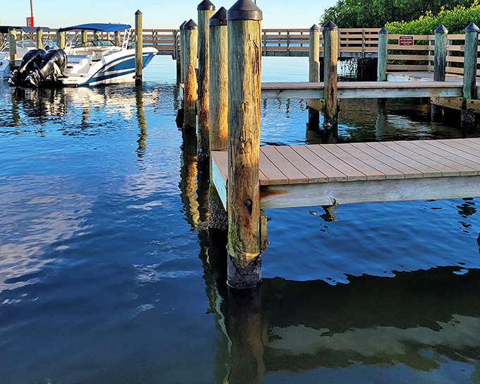 Morning reflections create mirror images of weathered pilings. The water's so clear you can count fish like they're in an aquarium.