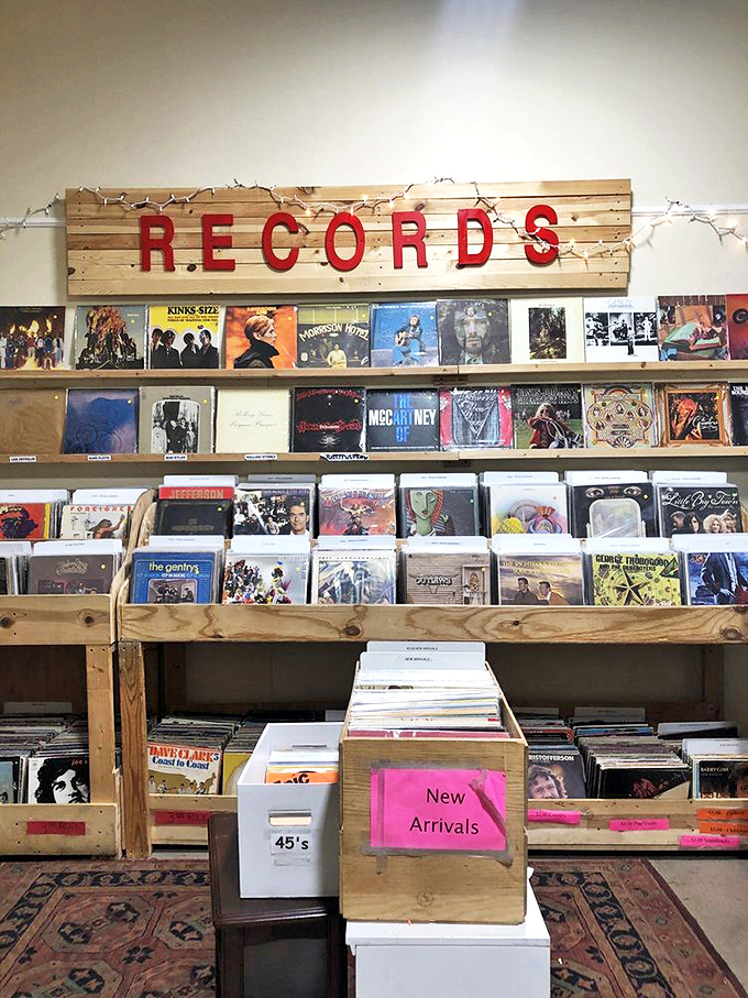 Vinyl paradise! This record collection spans generations of musical genius, from the British Invasion to classic rock royalty.