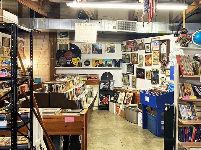 Vinyl heaven for music lovers. Album covers create a colorful timeline of American culture, each record a circular time capsule of sound.