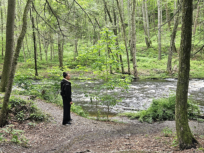 The forest stream moves with purpose, like a commuter who knows exactly where they're going but is in no particular hurry to get there.