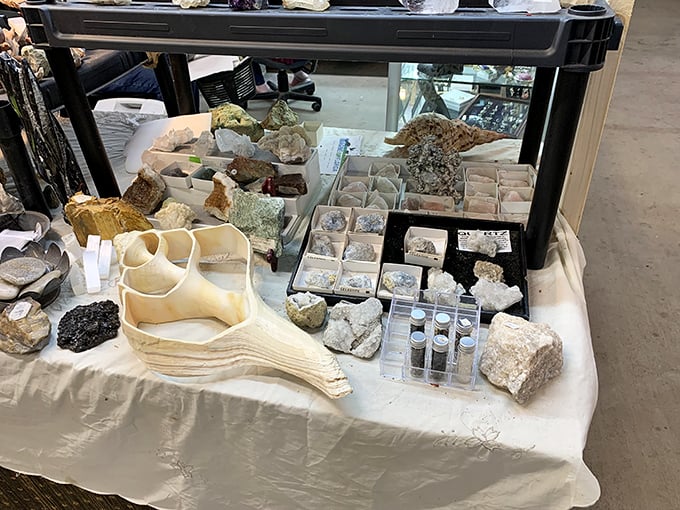 Crystals and minerals sparkle under fluorescent lights, bringing earth's natural beauty to budget-conscious collectors.