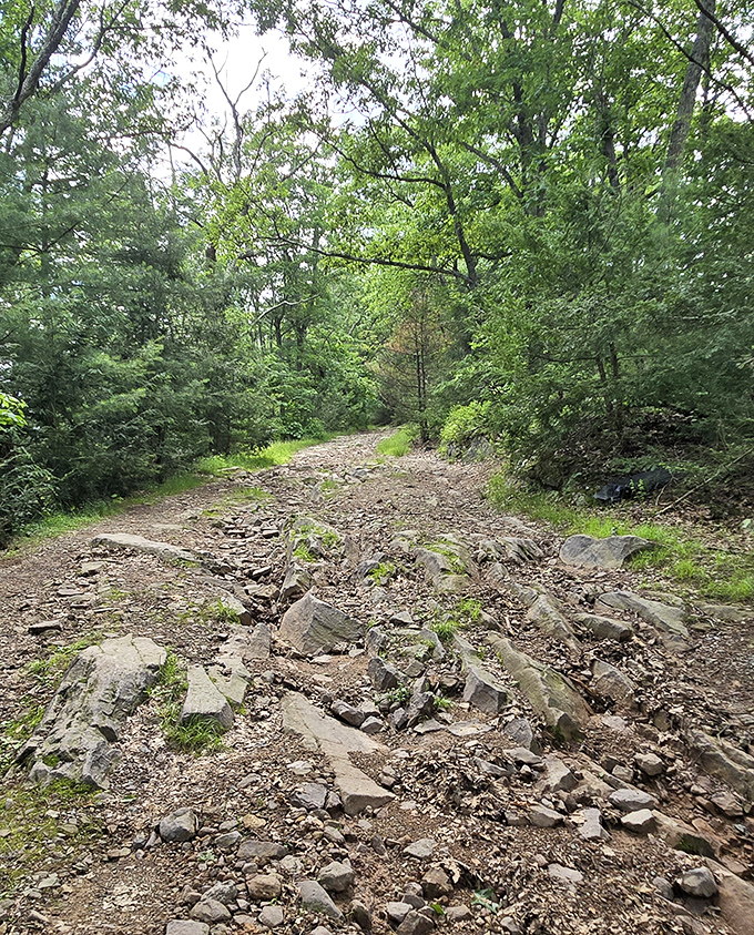 The path less traveled often leads to the best views. This rugged trail demands sturdy boots but rewards with unparalleled vistas.