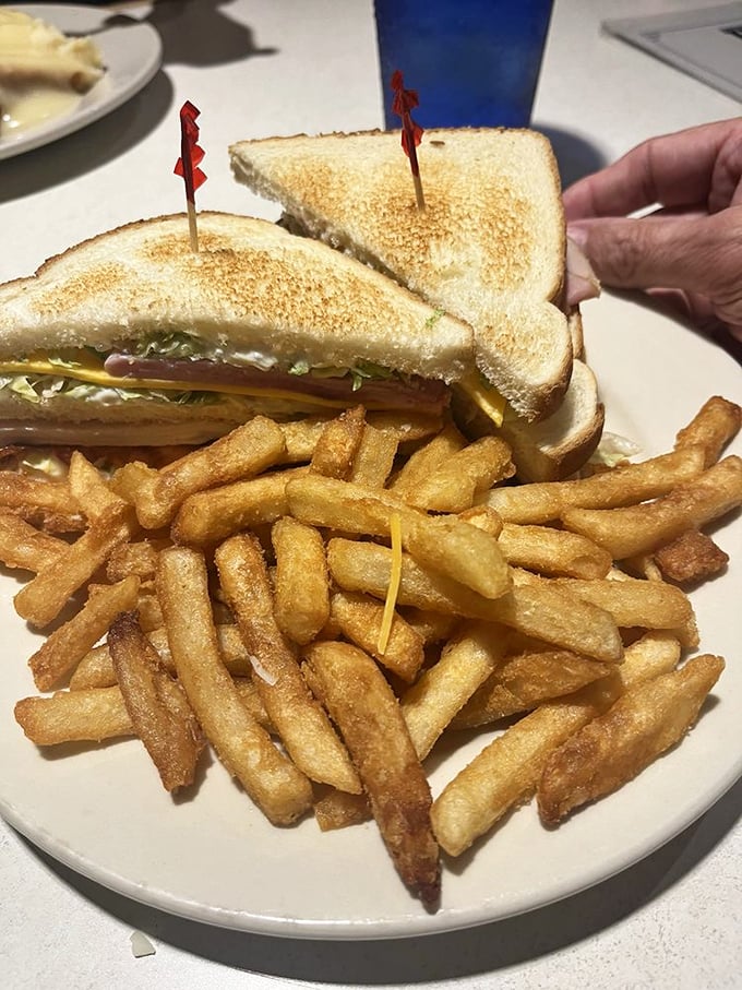 The humble sandwich, elevated to main character status with perfectly toasted bread, generous fillings, and fries that deserve their own fan club.