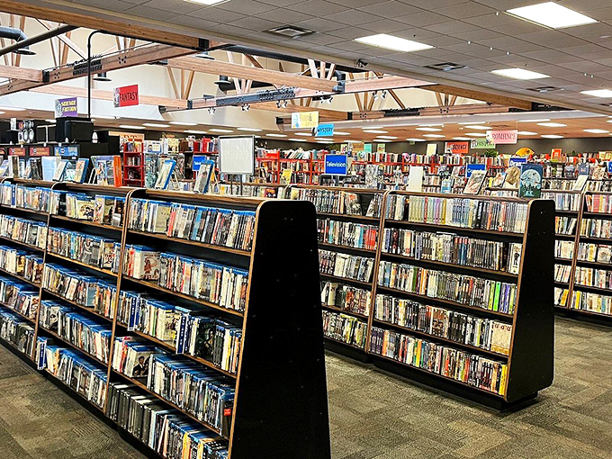 The DVD section: where physical media refuses to die and movie nights don't depend on your internet connection or streaming subscription whims.