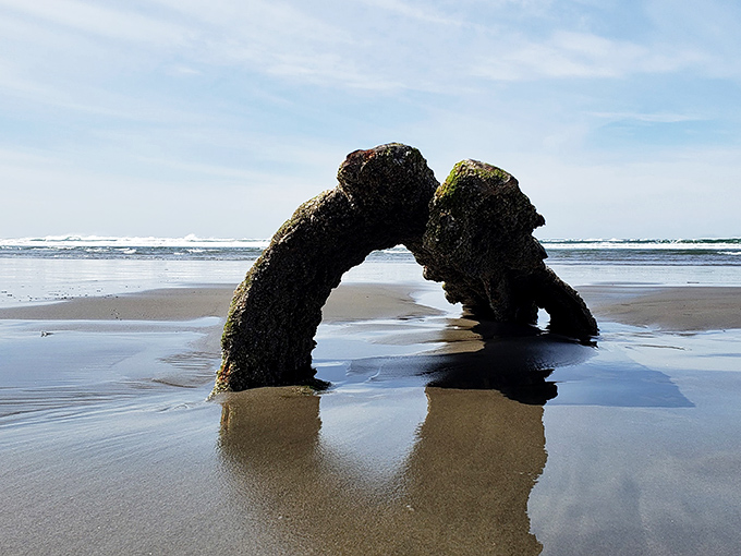 Not all shipwreck remnants remain upright! This curious arch formation shows how the ocean continues reshaping history with each passing tide.