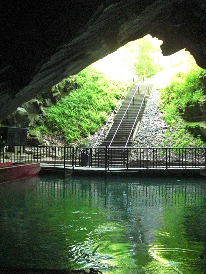 Looking from darkness into light creates nature's most dramatic doorway. That stairway isn't just leading outside&mdash;it's leading back to the 21st century.