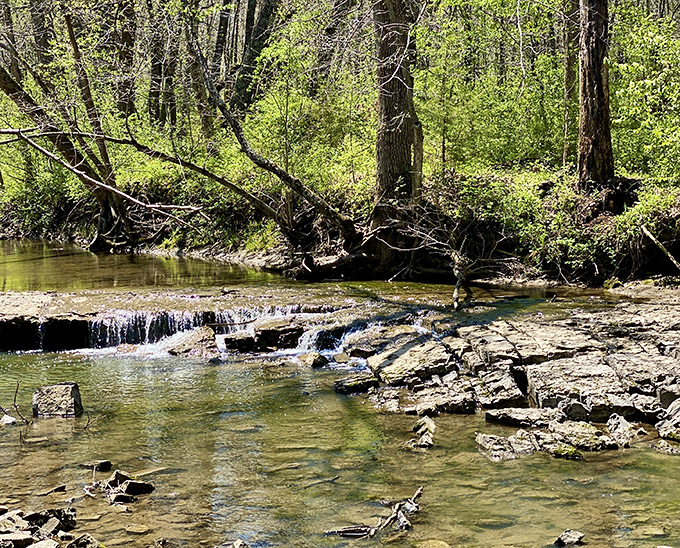 Nature's infinity pool comes with complimentary rock seating and a bubbling soundtrack that no spa can replicate.