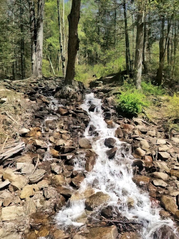 Mother Nature's original water feature doesn't need electricity&mdash;just gravity and persistence. This stream has been carving rock longer than humans have been taking selfies.