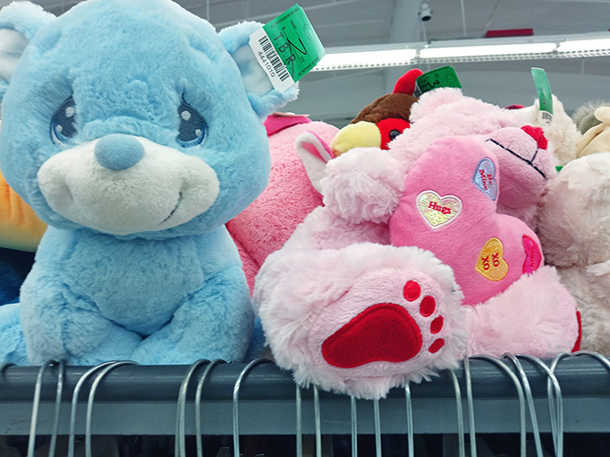 Plush pals seeking forever homes &ndash; these gently-loved stuffed animals with hopeful eyes are impossible to resist at these prices.