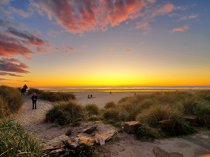 Sunset at Manzanita Beach, where nature puts on a light show that makes Broadway productions look understated. No ticket required.