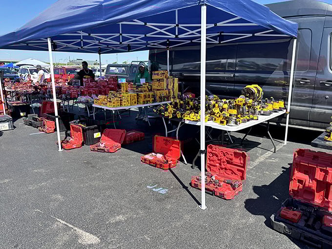 Tool aficionados gather like pilgrims at this mechanical mecca, where yellow and red cases house potential weekend projects.