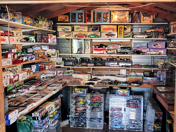 Die-cast dreams line shelves in pristine condition, awaiting collectors who understand that childhood never truly ends here.
