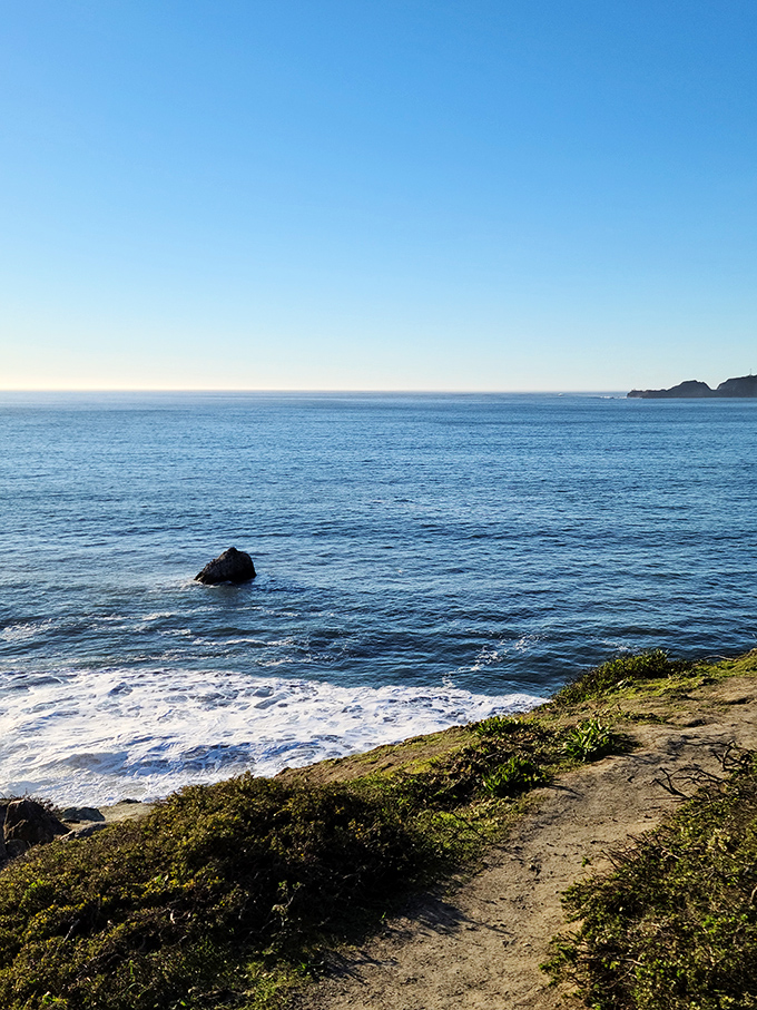 The coastal trail offers views that make even the most dedicated couch potatoes think, "Maybe hiking isn't so bad after all."