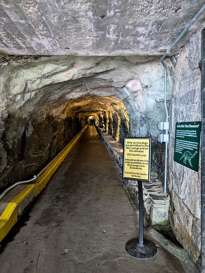 The elevator tunnel through solid granite &ndash; James Bond's mountain hideout meets small-town charm in this engineering marvel carved through ancient stone.