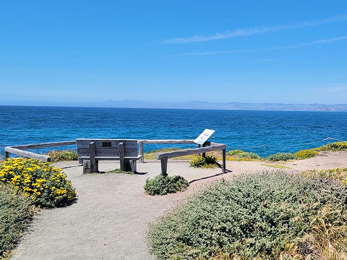 The world's best waiting room. This simple bench offers front-row seats to nature's greatest show&mdash;the endless dance between land and sea.