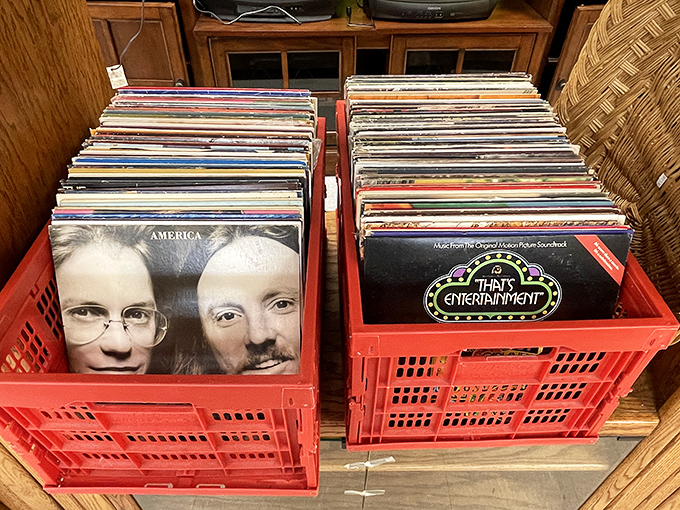 Vinyl collectors know: these red crates hold more potential joy per square inch than any digital playlist could ever deliver to your eardrums.