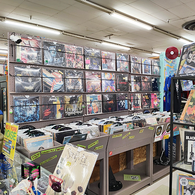 Vinyl heaven for music lovers. These album covers aren't just protective sleeves; they're frameable art from the golden age of record design. 